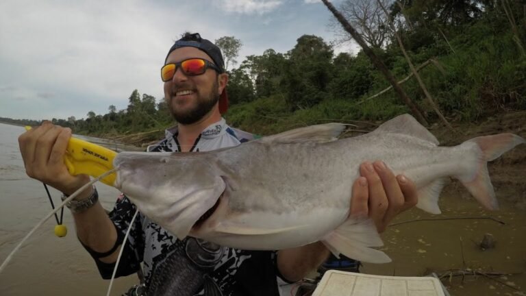 Peixe Cará: Saiba Tudo sobre este peixe