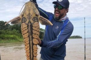 Peixe Cará: Saiba Tudo sobre este peixe
